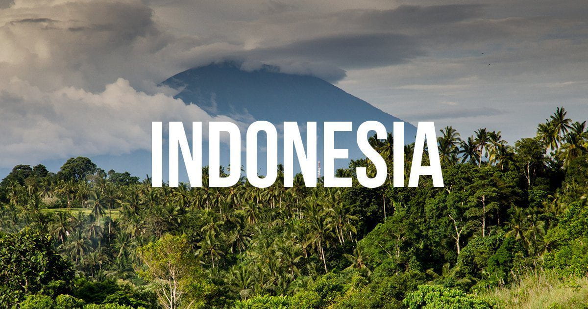 Now Planting Trees in Indonesia